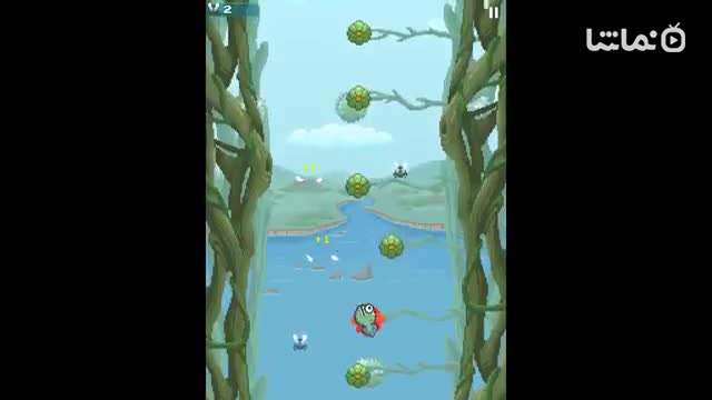 Tadpole Tap - نماشا